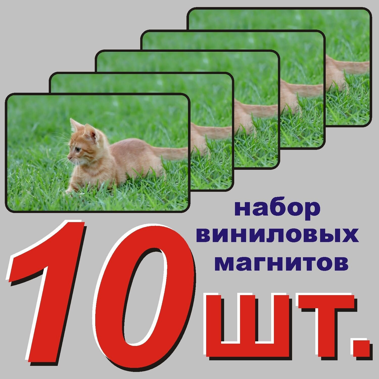 Магнит на холодильник "Котики" 10 шт.