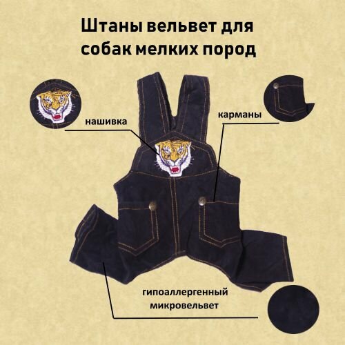 Штаны-джинсы вельвет для собак мелких пород, нашивка Тигр, размер XXS, цвет синий