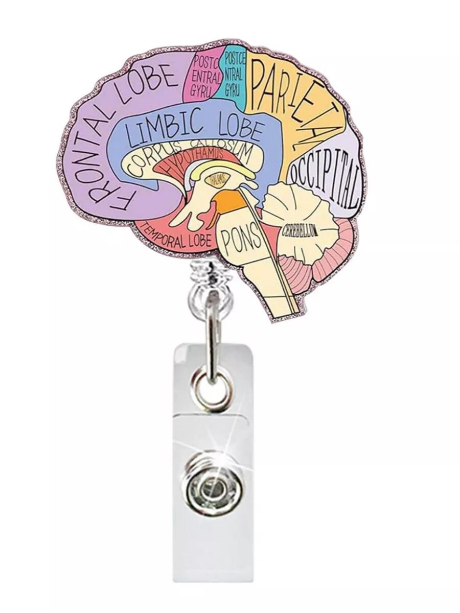 Насадка на бейджик на работу в виде мозга с описание разделов