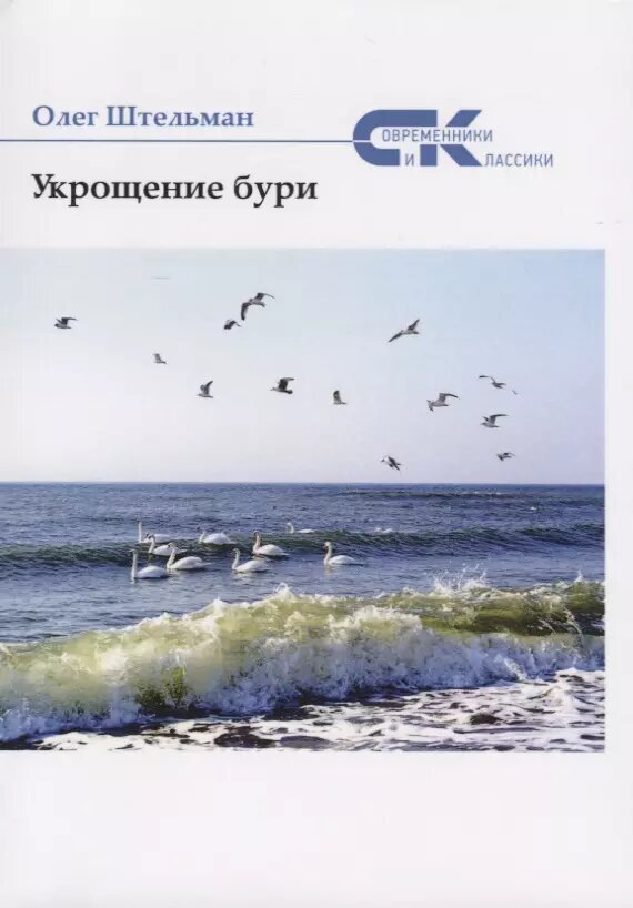Укрощение бури (Олег Штельман)