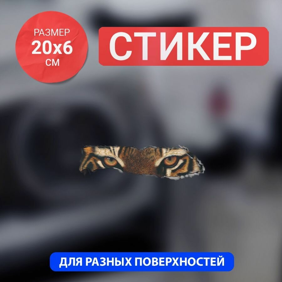 Наклейка на авто Взгляд Тигра