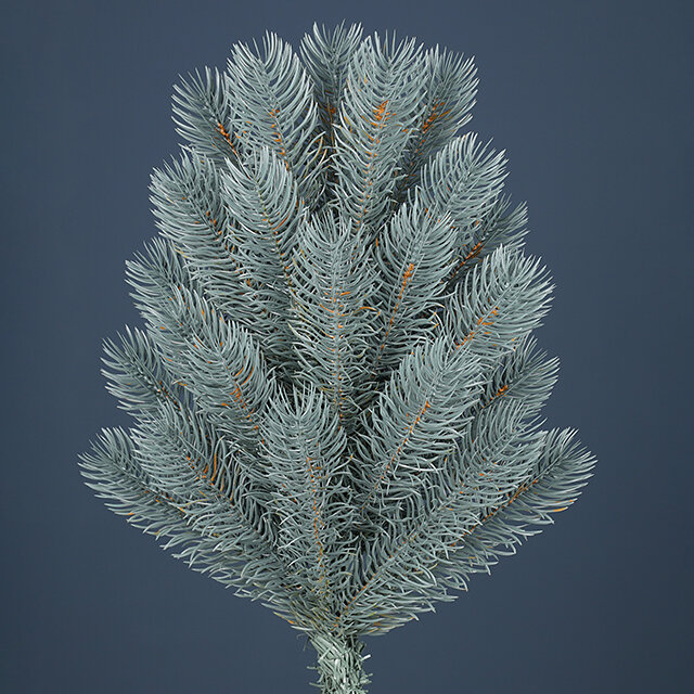 Хвойная ветка Кремлевская голубая 30 см, литая 100%, Царь Елка, ВКРГ-30