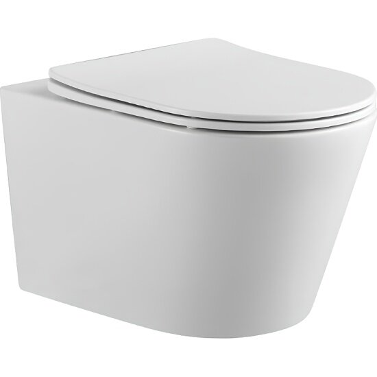 Унитаз подвесной Aquatek безободковый AQ1905-00 вега 525*360*320мм, тонкое сиденье с механизмом плавного закрывания, крепеж