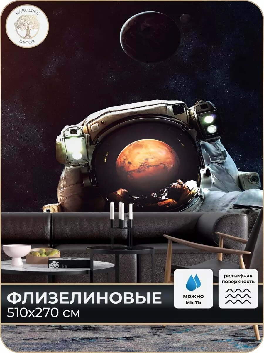 Фотообои Космонавты в детскую в спальню на кухню 500х270