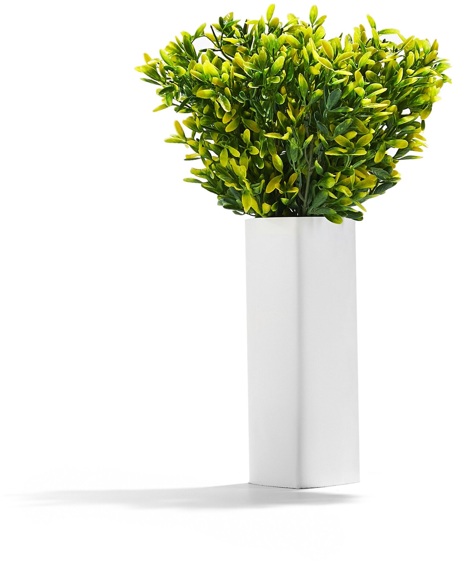 Интерьерный букет из пяти веточек самшита Nothing But Love (желтый; зеленый) 34х15