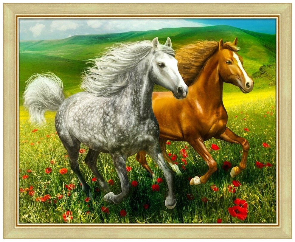 Набор Алмазная живопись #АЖ-1766 Кони на лугу, Алмазная Мозаика, 50 х 40 см