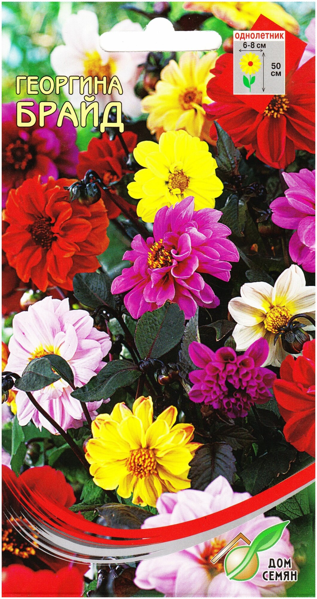Георгина Брайд, 15 семян
