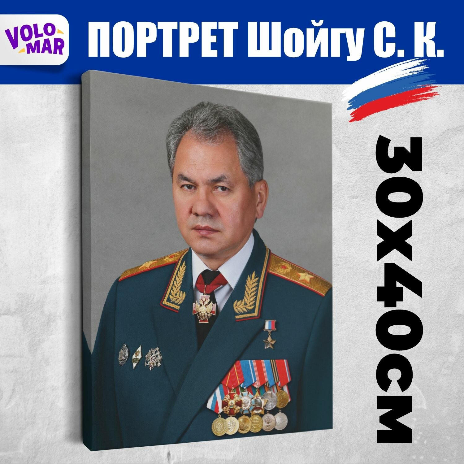 Картина на холсте для интерьера "Шойгу", 300х400 мм, VoloMar