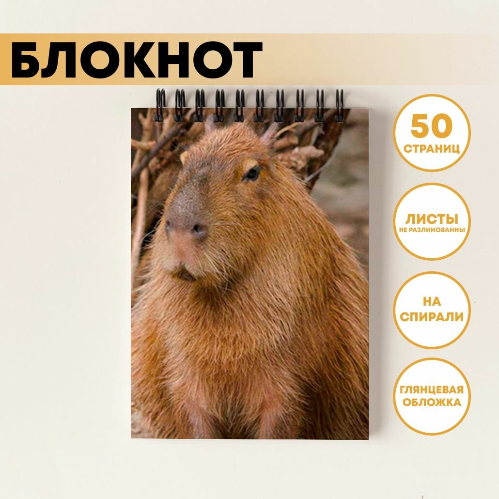 Блокнот Капибара