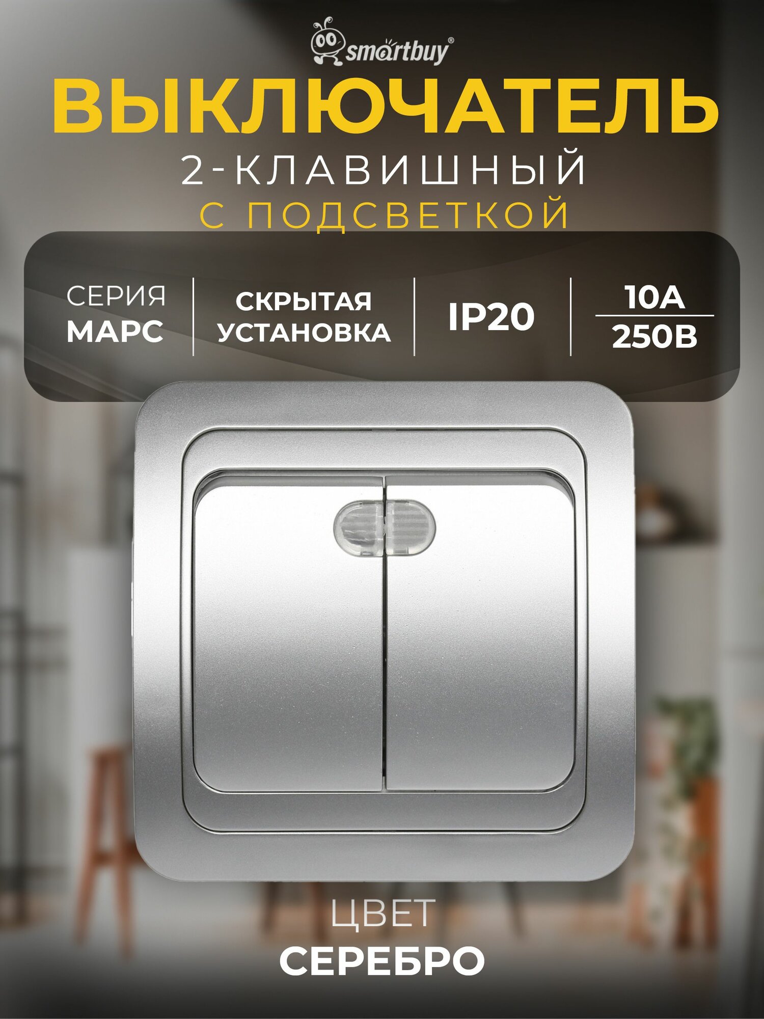 Выключатель Smartbuy 2-клавишный с индикатором 10А серебро "Марс" (SBE-02s-10-SW2-1-c)