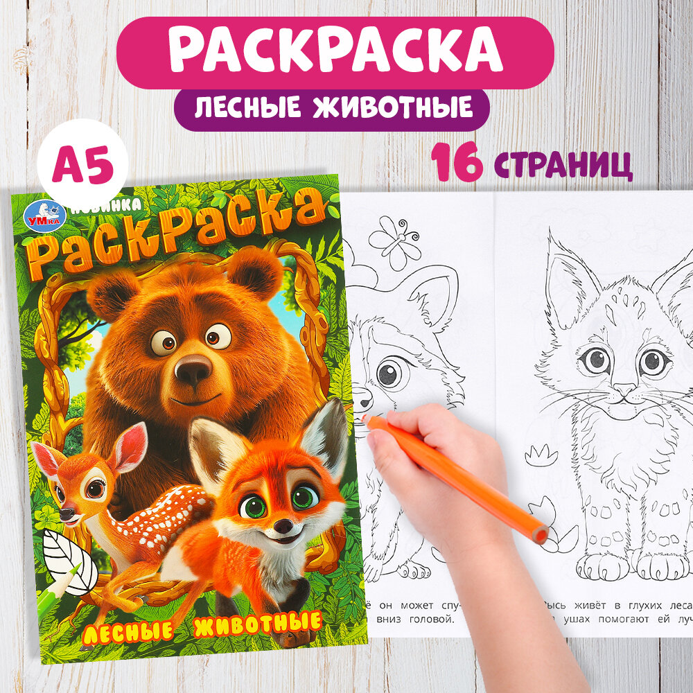 Раскраска для детей Лесные животные, Умка, 16 страниц, формат А5