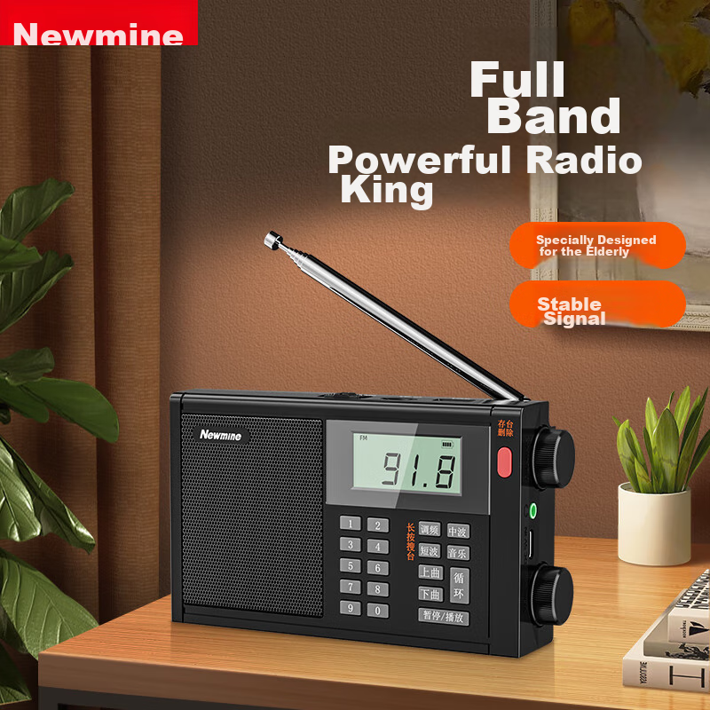 Newman T-6607 Radio for Elderly, Digital Mini Portable Speaker with Memory Card, Rechargeable, All-Band FM Tuning, for College English Listening Test, CET-4/6 Player