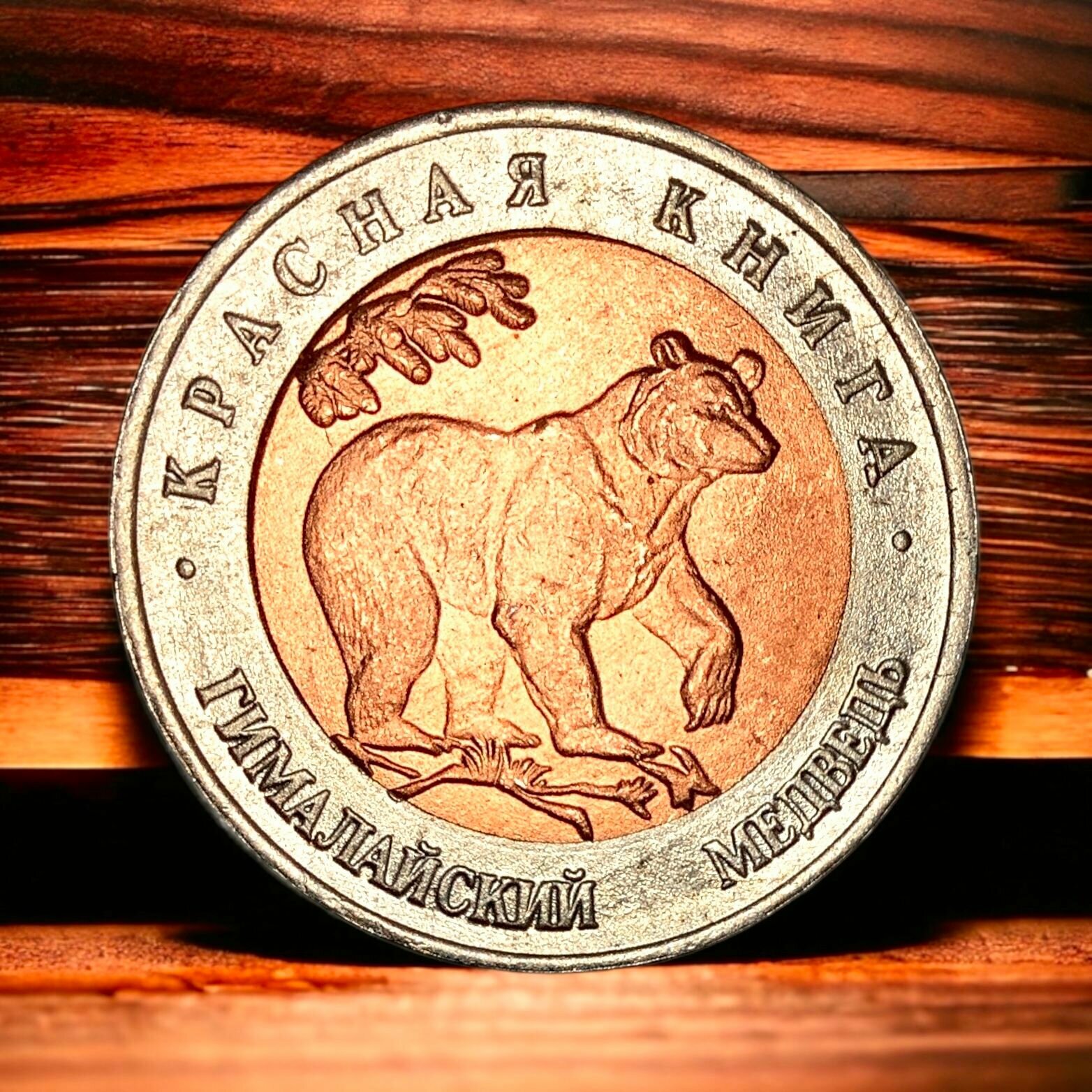 Монета СССР 50 рублей 1993 года. Красная книга. Гималайский медведь. Люксовое состояние
