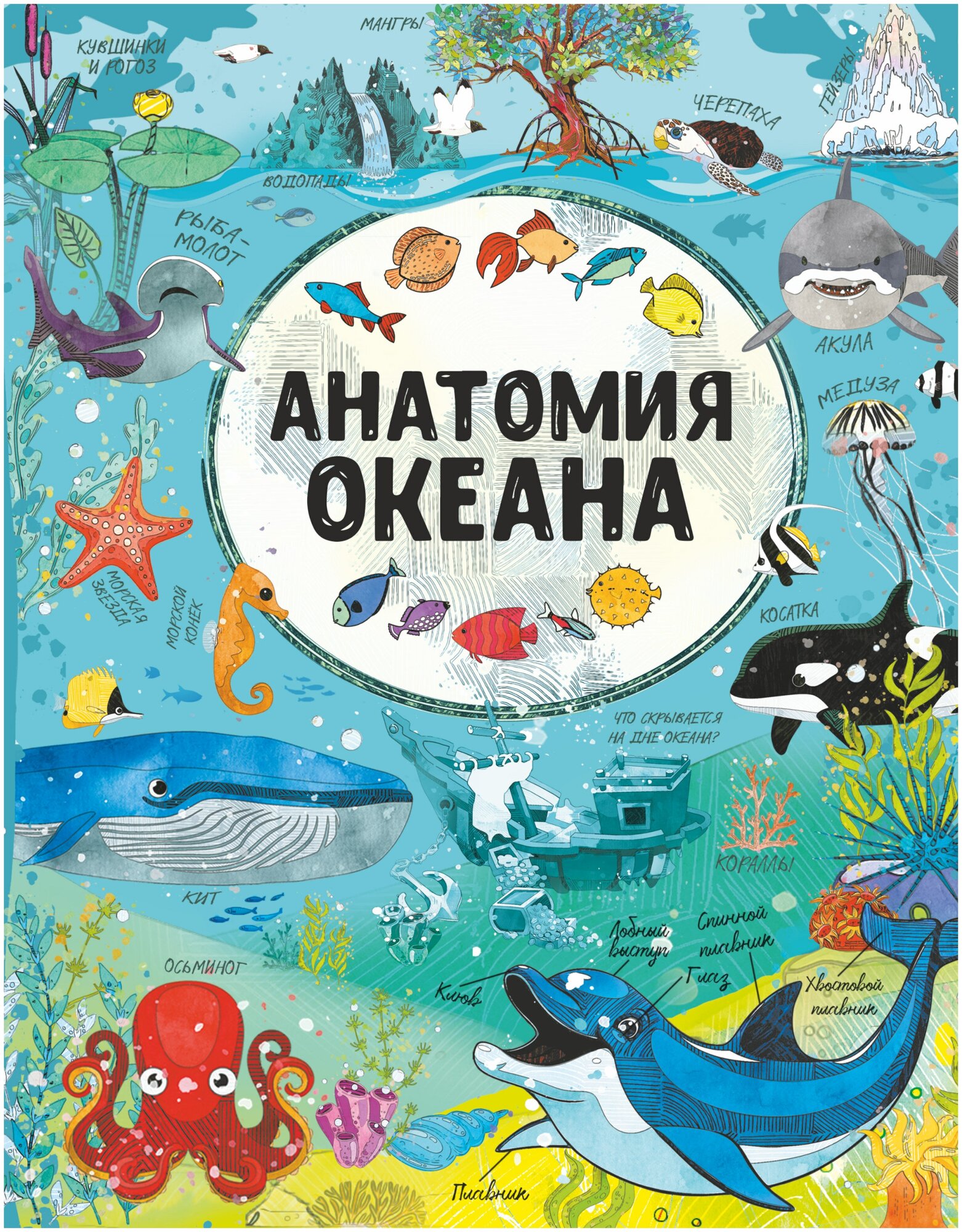 Анатомия океана Барановская И. Г, Вайткене Л. Д.