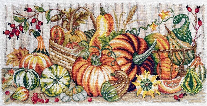 Время тыкв 11.002.13