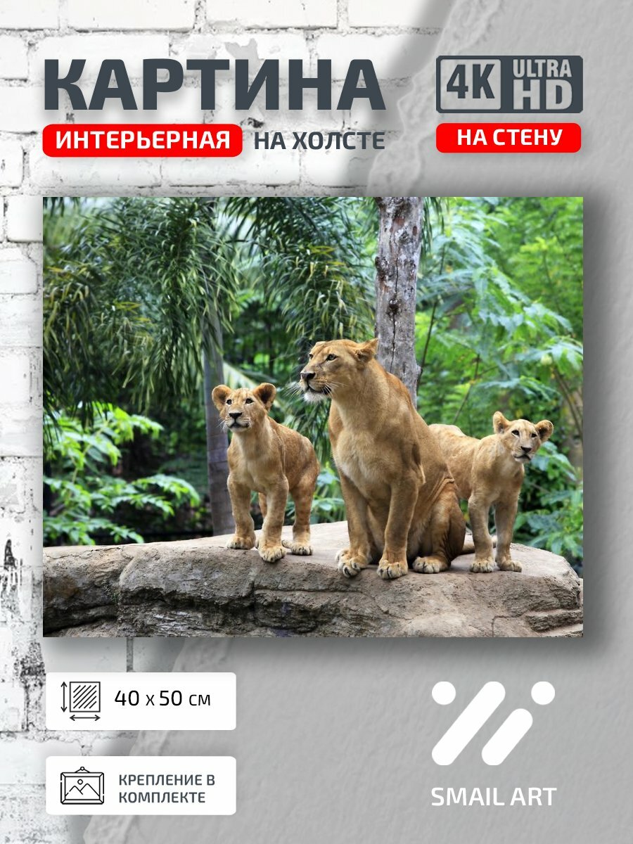 Картина на холсте интерьерная 40 на 50 на стену Львенки Mood для кабинета атмосфера декор