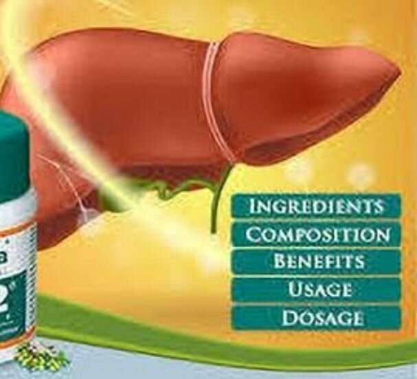 Комплект 2шт. Пищевая добавка для печени DS. Himalaya