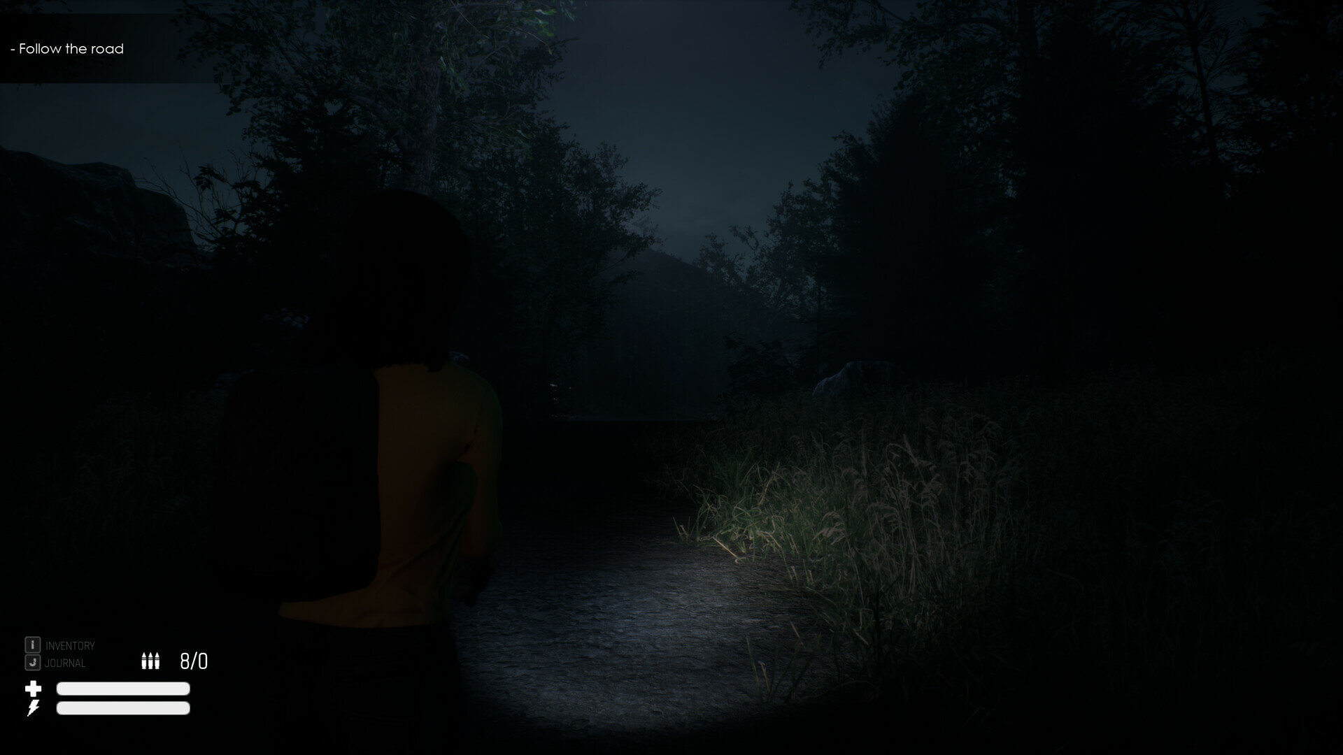 Anatolian Horror Stories : Curse In Bayramdere PC Steam Ключ