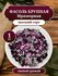 Фасоль Мраморная, Лима, Шайба, Крупный калибр, вес 1 кг