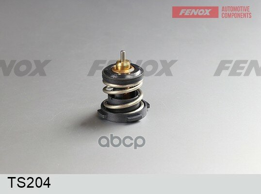 Термостат VW Polo 12-, Skoda Rapid 14- FENOX арт. TS204
