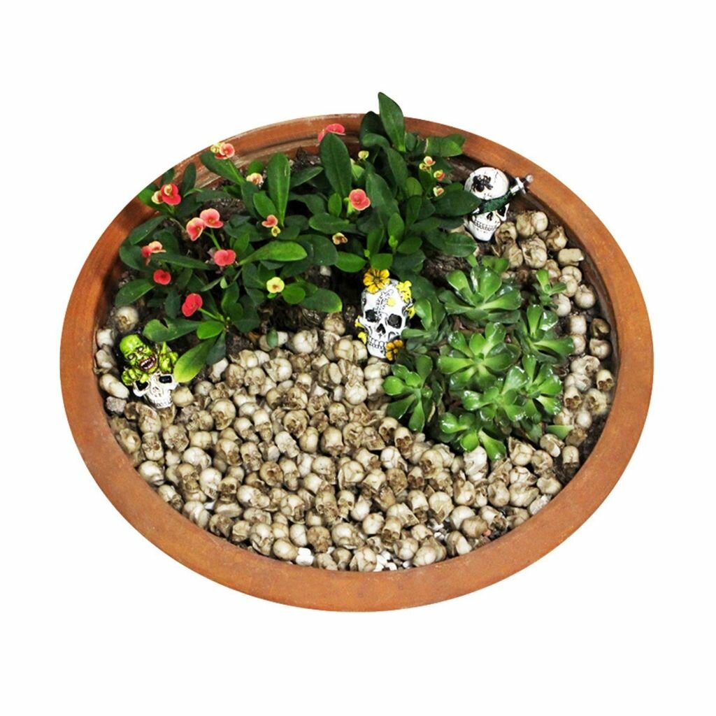 Набор мини-черепов для Хэллоуина