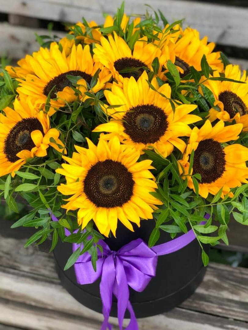 Букет из подсолнухов в шляпной коробке 13шт, премиум букет, солнечный букет, яркий букет
