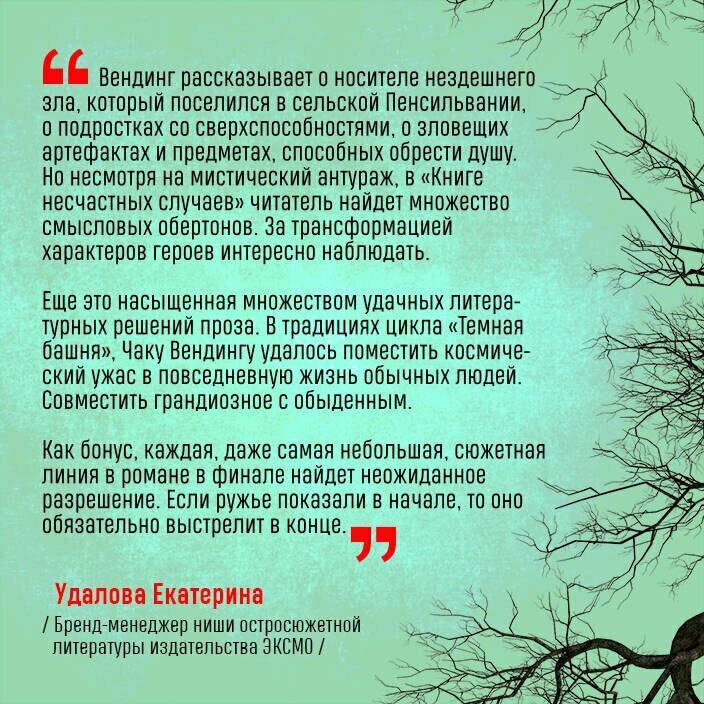 Книга несчастных случаев — фото 1