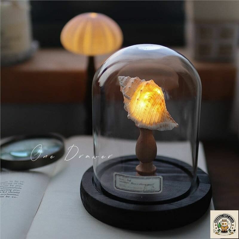 Ночник ручной работы из раковины, ночник для diy。Ночник ручной работы из раковины, ночник для diy