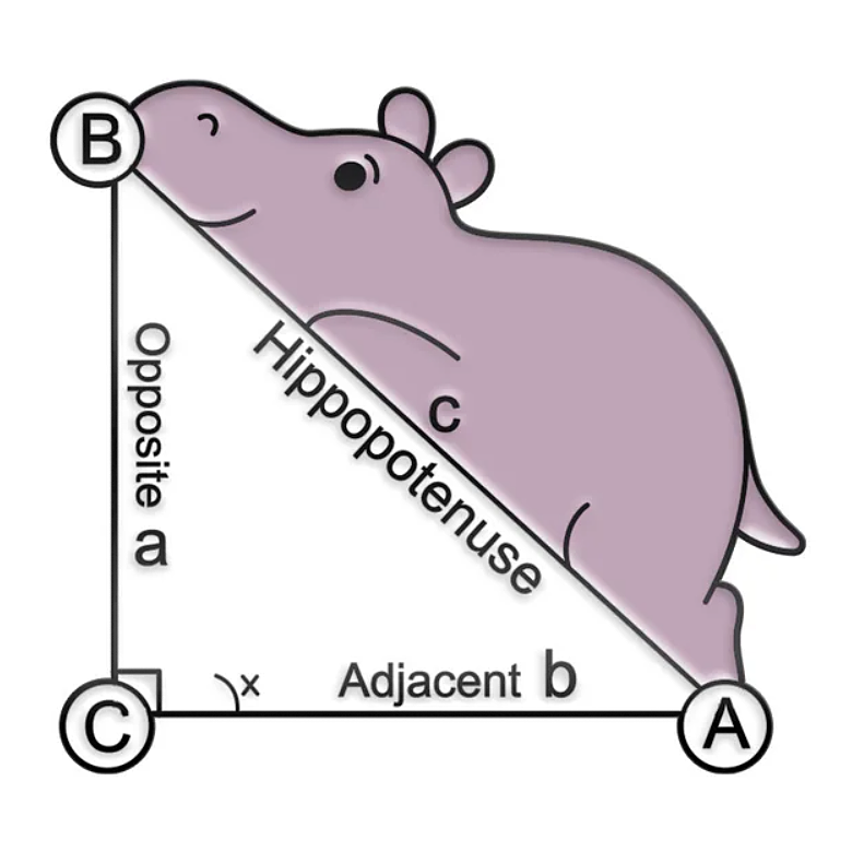 Значок математика для одежды, кепок и рюкзака "Hippopotenuse" / 1 шт.