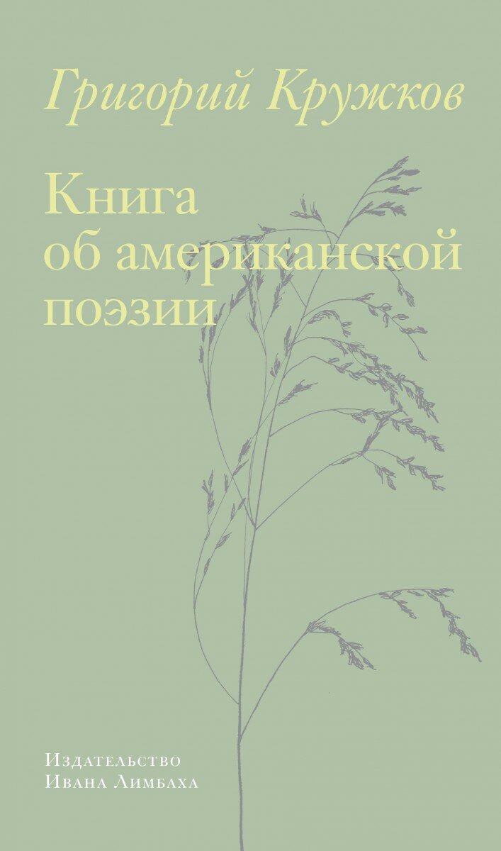 Книга об американской поэзии