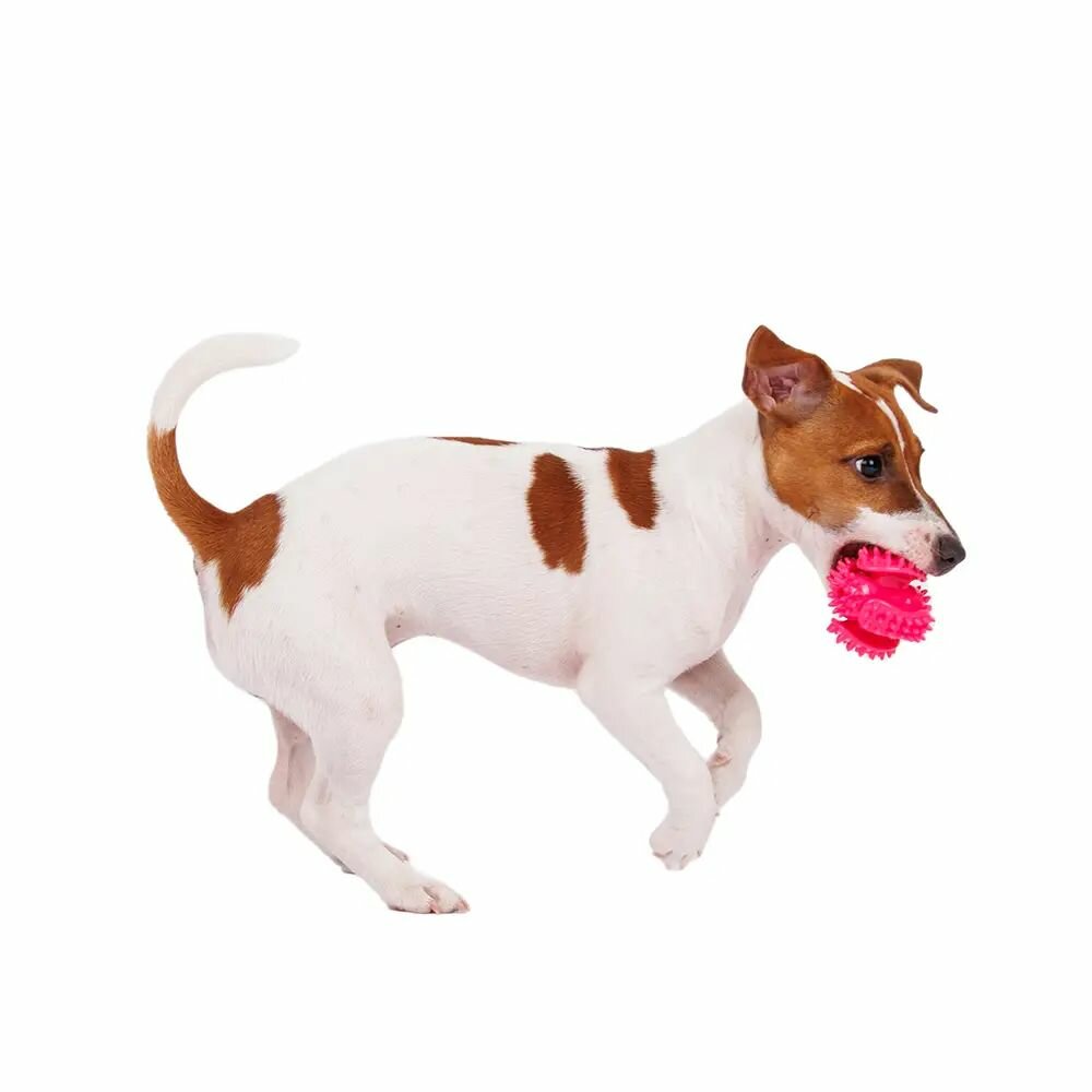 Игрушка для собак Мяч фигурный с шипами 7,5 см