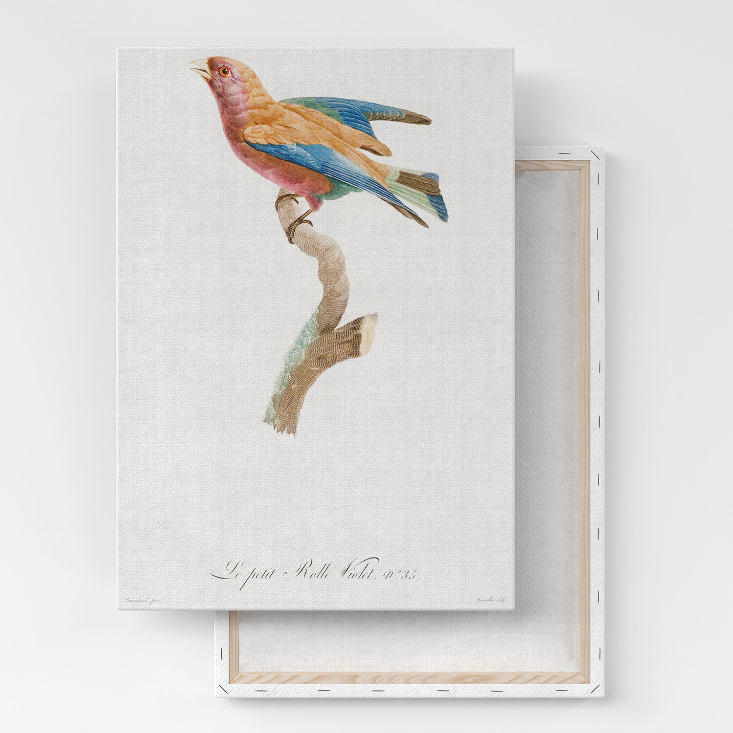 Картина на холсте, репродукция / Des Oiseaux de Paradis / Размер 60 x 80 см