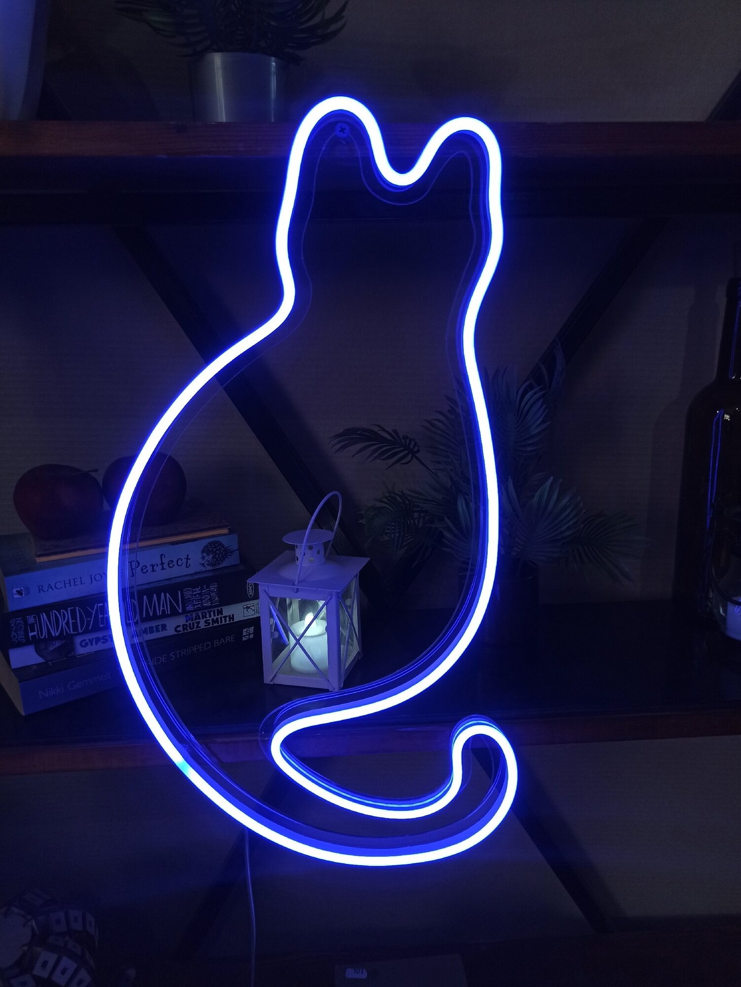 Неоновый светильник Elmarto Кот, 50х29 см, синий