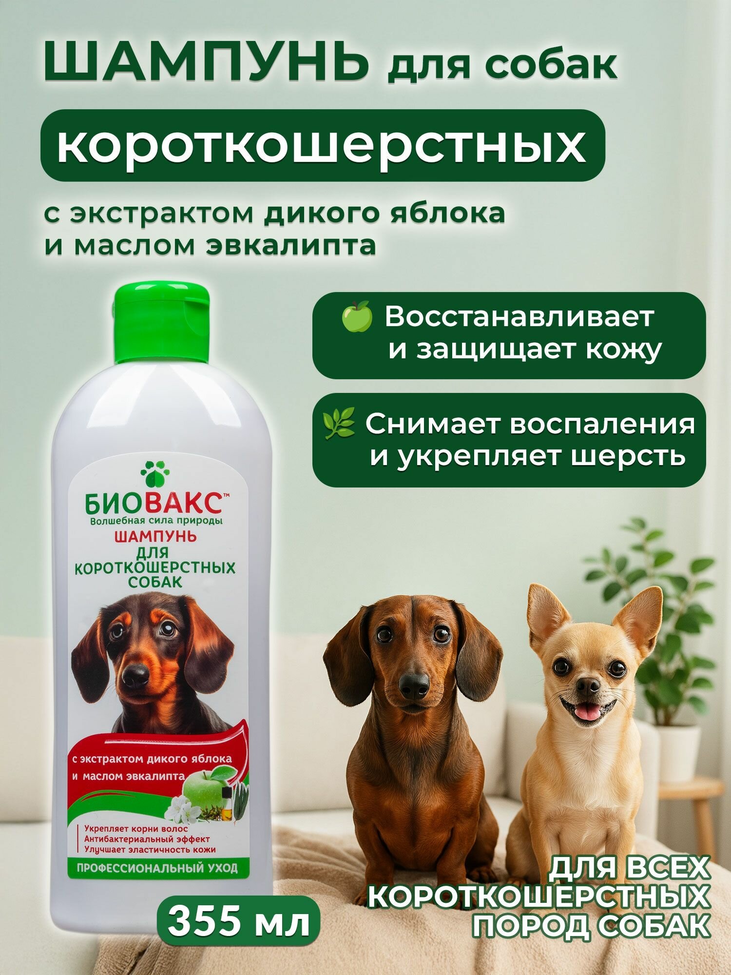 Шампунь для собак для короткошерстных пород БиоВакс с экстрактом дикого яблока и маслом эвкалипта, 355 мл