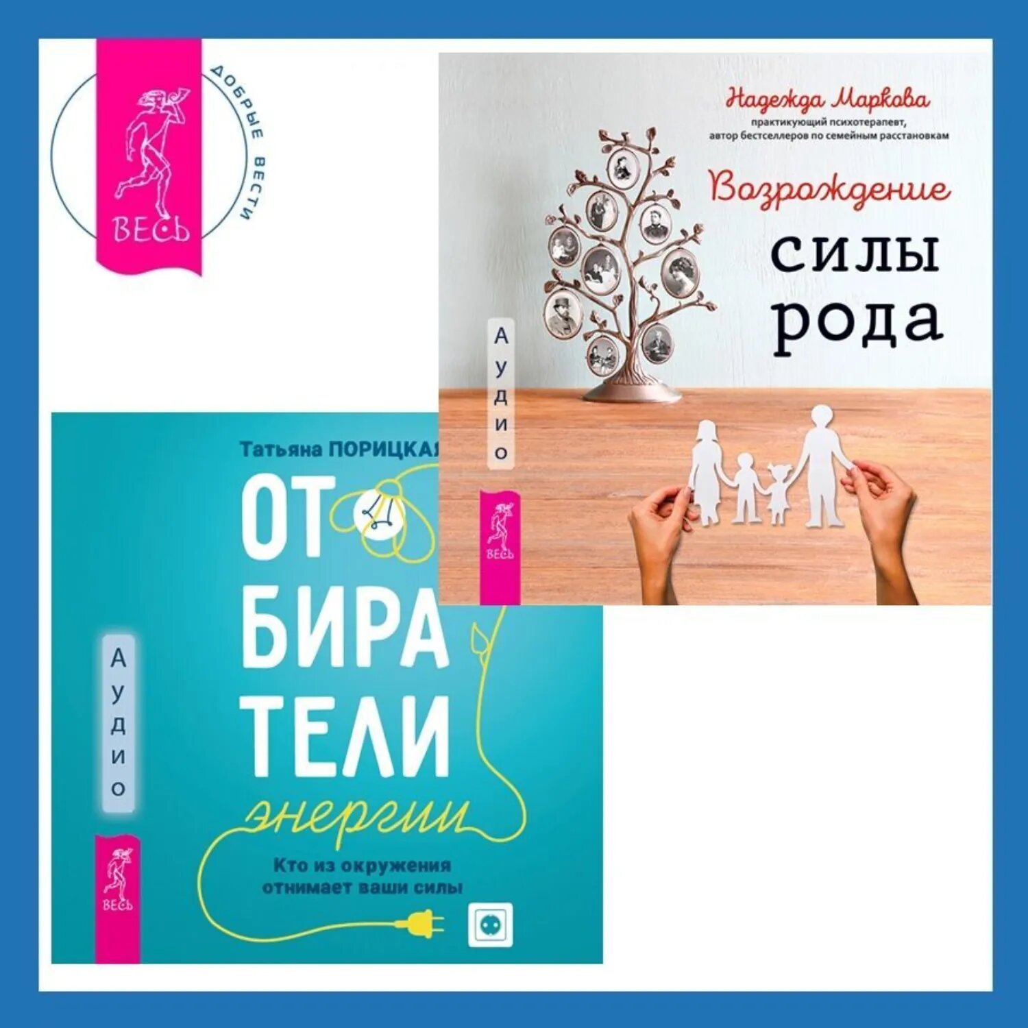 Отбиратели энергии. Кто из окружения отнимает ваши силы + Возрождение силы рода. Практика системных расстановок [Аудиокнига]