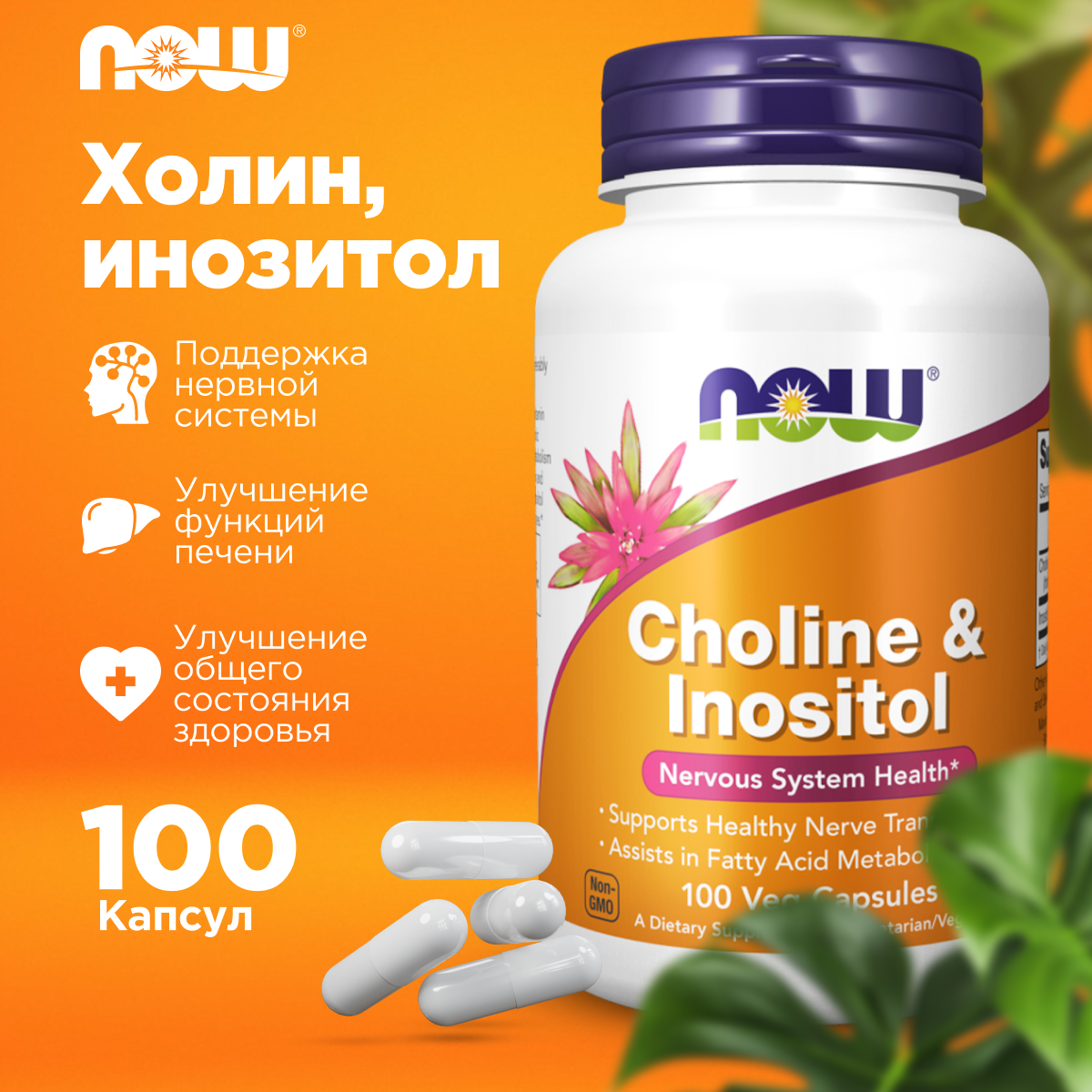 Витамины группы Б Холин Инозитол NOW CHOLINE & INOSITOL 250/250mg 100 вегетарианских капсул
