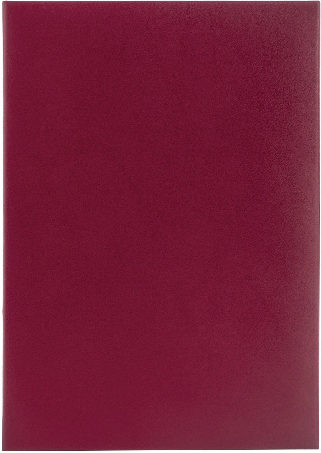 Папка адресная, без надписей (А4, бумвинил) (129634)