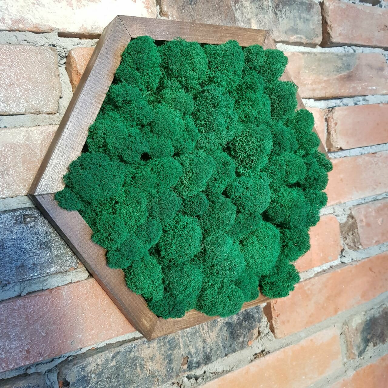 Панно из мха, соты, длина 37см