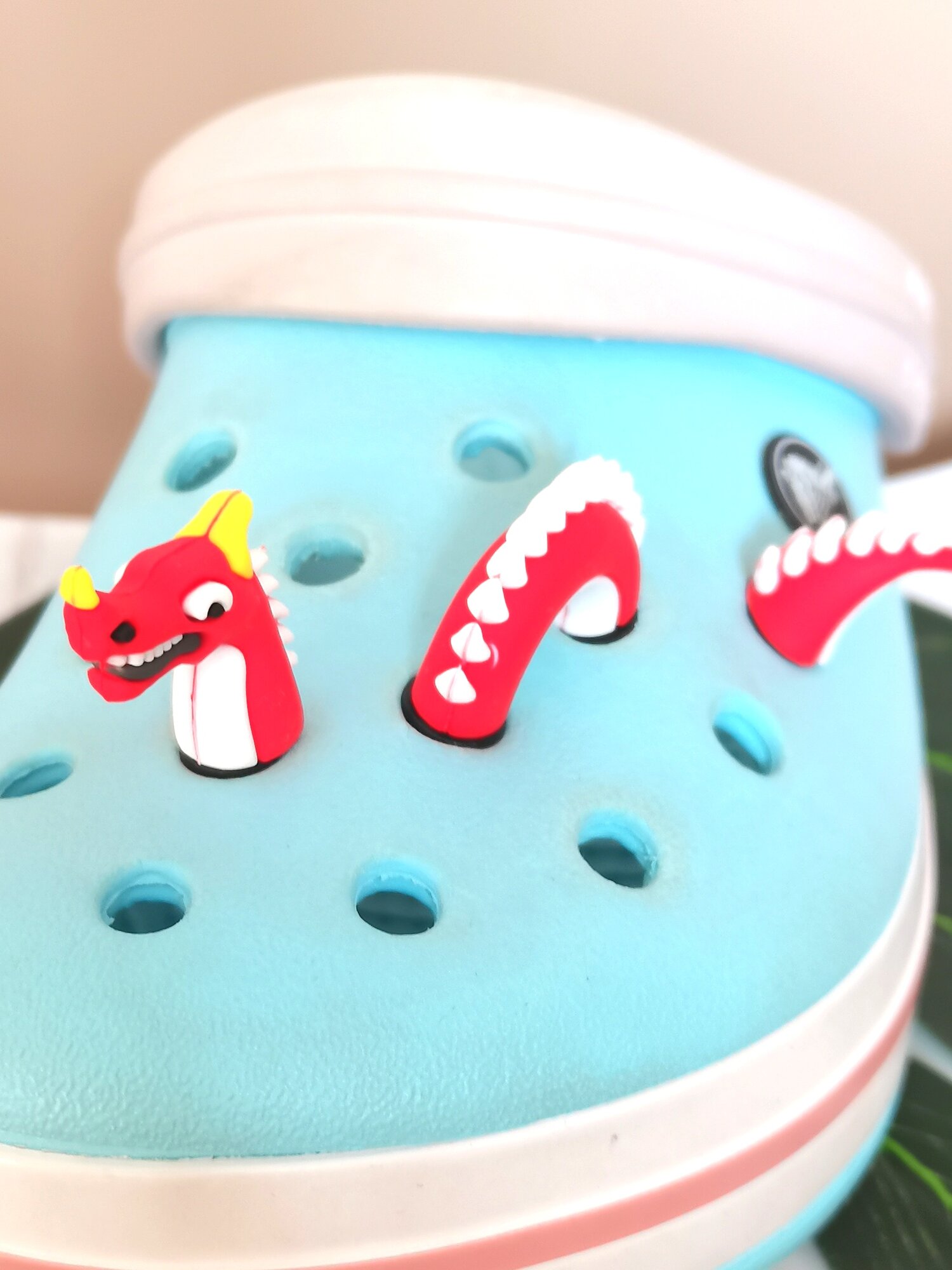 Джибитс 3-д дракон на Crocs — фото 1