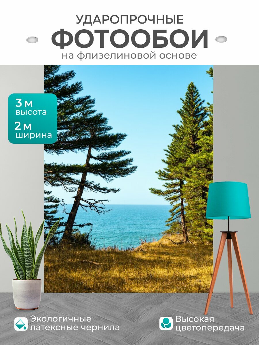 Фотообои моющиеся ударопрочные "Сосновая роща у моря с невысокими деревьями и легким бризом" 200x300 см. флизелиновые на стену