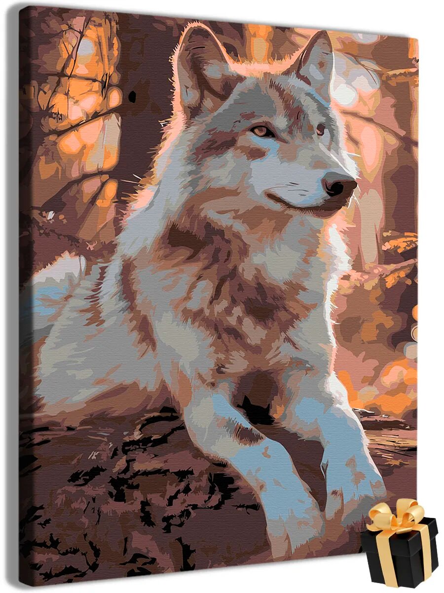 Картины по номерам Волк
