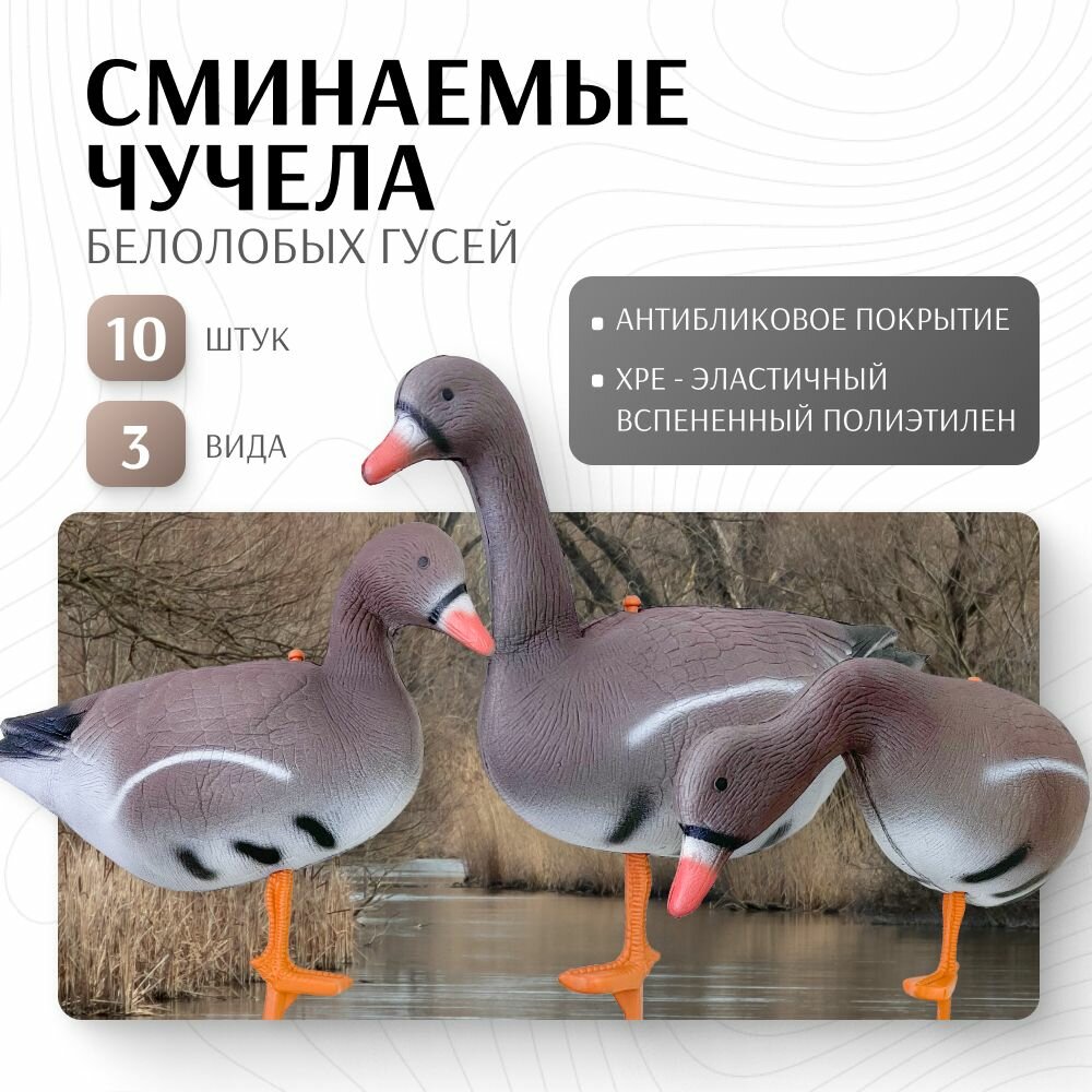 Чучела Гусей Белолобый, 10 шт, чучела гусей для охоты, на ножке, сминаемые, XPE, Белолобый Гусь, Гуменник