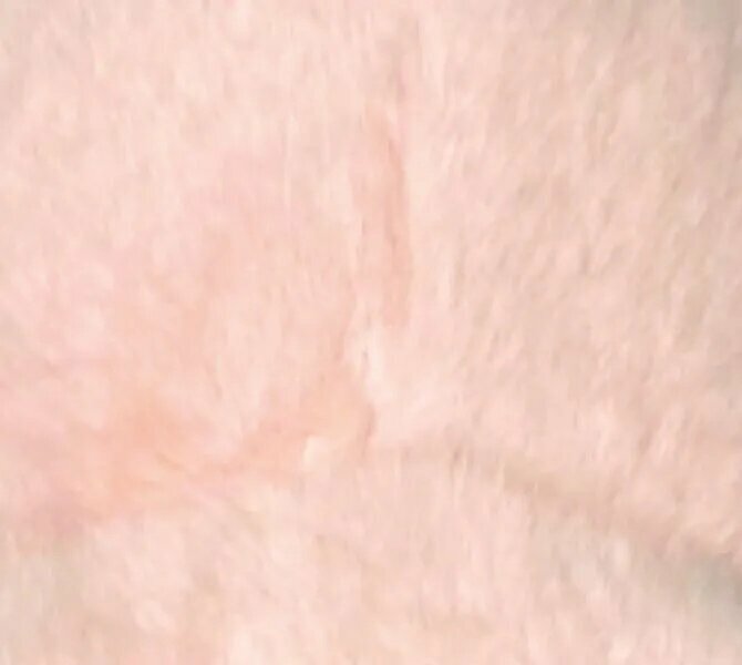 Паук игрушка антистресс мягкая в руки дети и подростки и взрослые