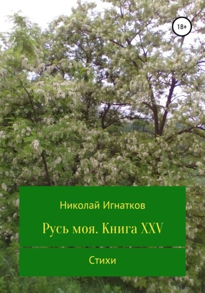Русь моя. Книга XXV [Цифровая книга]