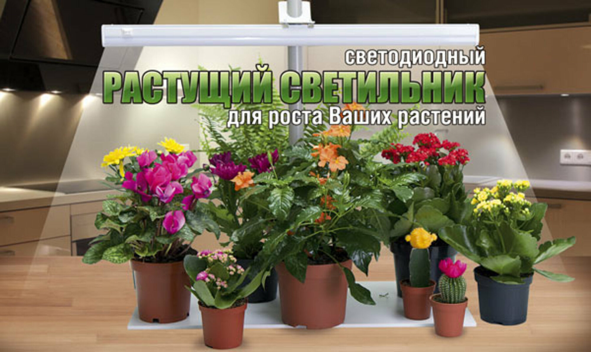 Мощная чудо led фито лампа регулятор роста Zdorovya Klad16 Ватт для досветки цветов и семян