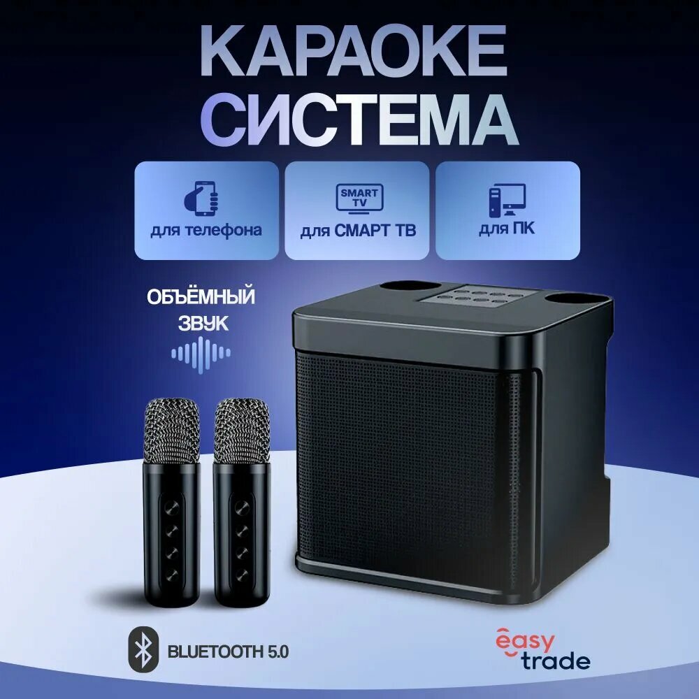 Караоке система для дома с двумя микрофонами