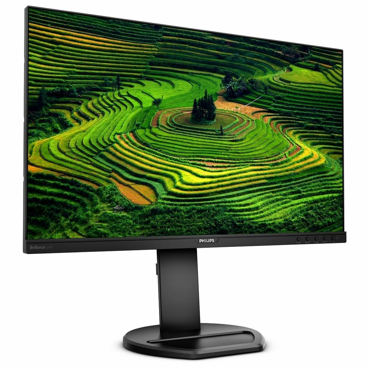 Монитор Philips 23.8' 241B8QJEB черный, VGA, 1920х1080