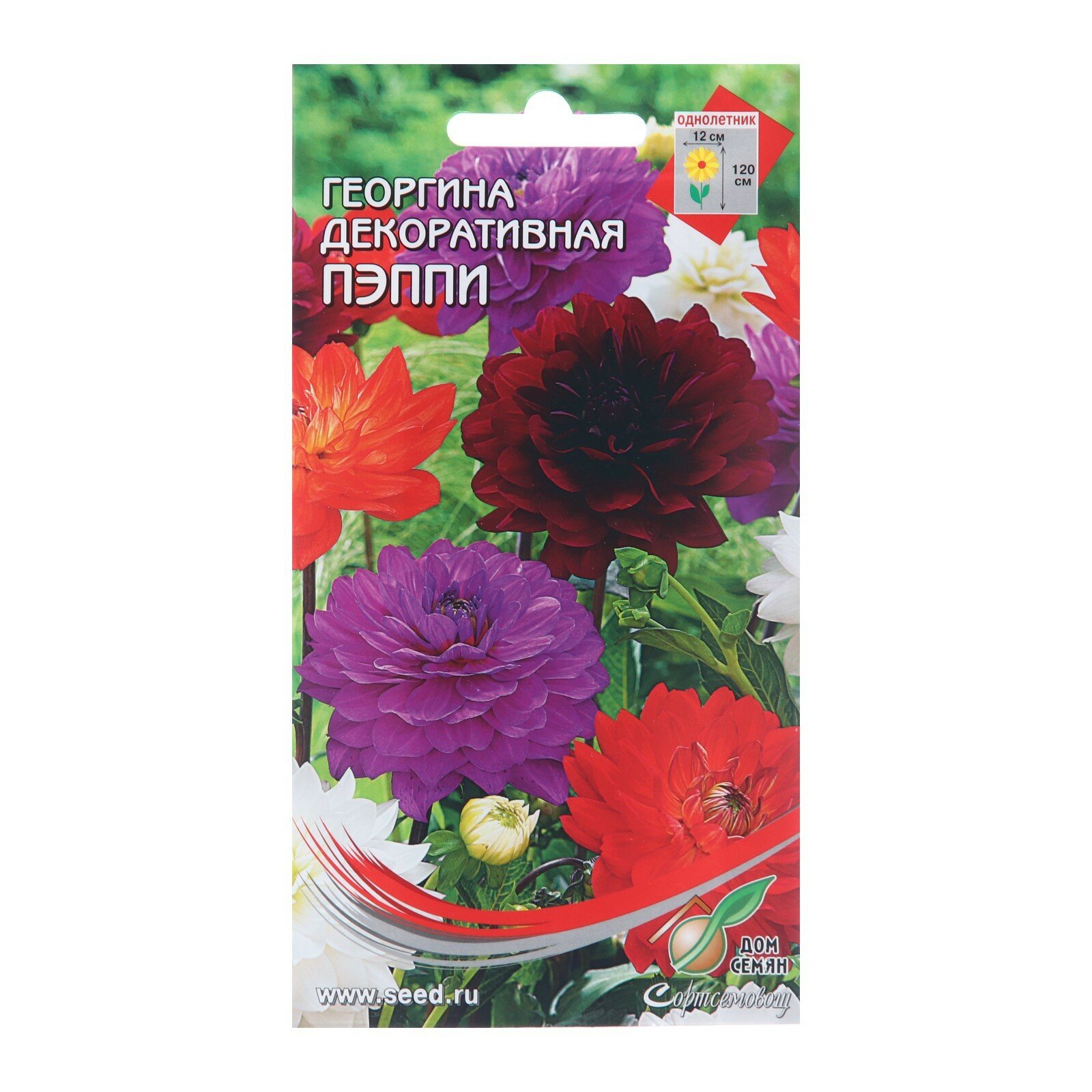 Декоративная георгина «Пэппи», семена цветов, 15 шт.
