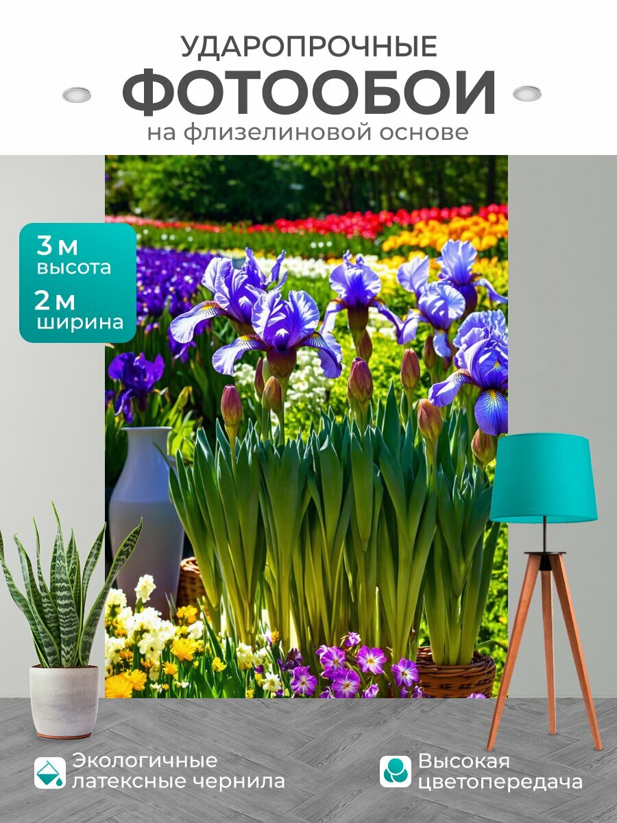 Фотообои моющиеся ударопрочные "Ирис в великолепном саду, где разнообразные цветы создают фоновую палитру, а персонализированные вазы добавляют" 200x300 см. флизелиновые на стену