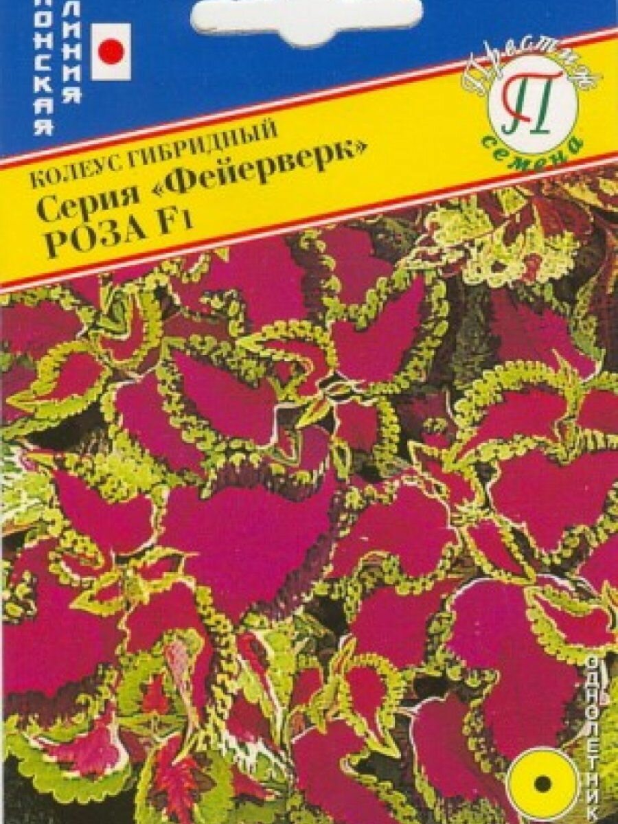 Колеус Фейерверк Роза F1 10 шт, Семена Престиж